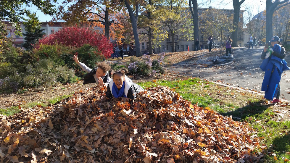 Friends of Brower Park | Leaf Crunch 2017 Love Your Park & Make a ...